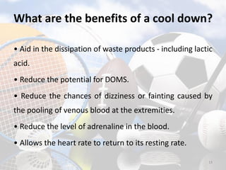 Importance of warm up & cool down | PDF