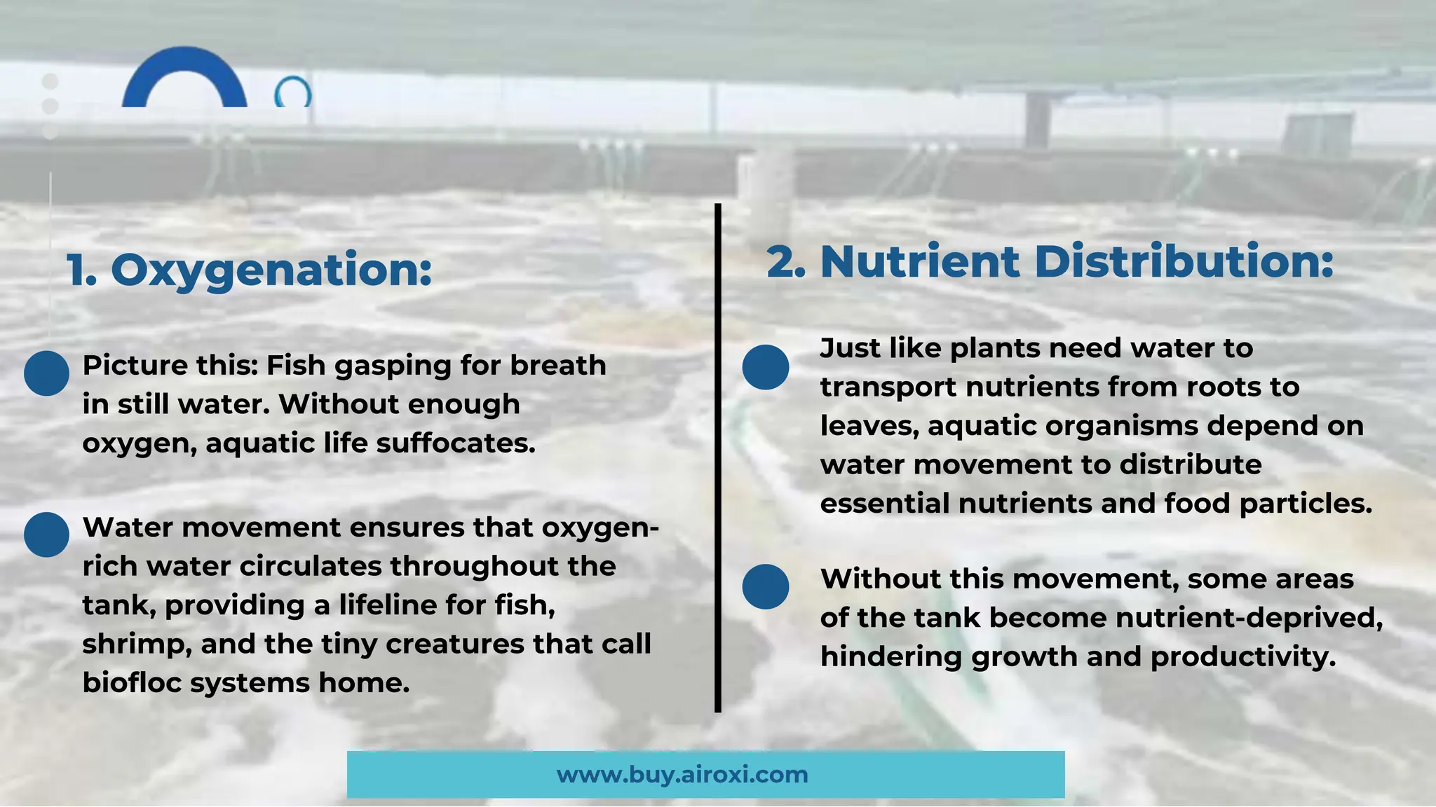 Importance of Aeration in Biofloc Systems.pptx
