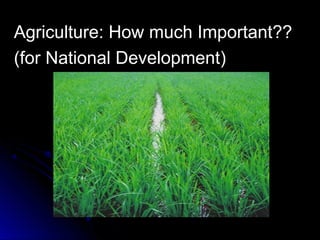 Importance of agriculture | PPT