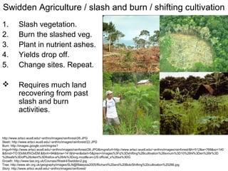 Importance of agriculture 2 | PPT | Agriculture | Industries