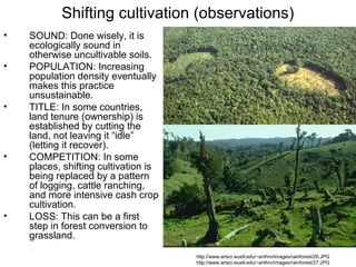 Importance of agriculture 2 | PPT