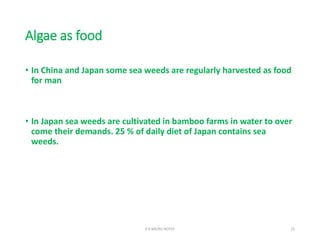 IMPORTANCE OF ALGE IMPORTANCE OF ALGE K R.ppt