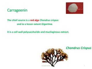 IMPORTANCE OF ALGE IMPORTANCE OF ALGE K R.ppt