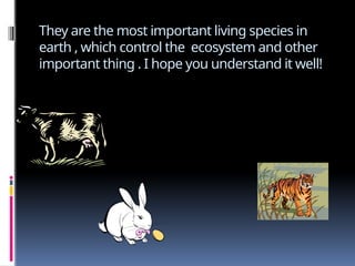 (Importance of animal) in this you can descripted to your teacher.pptx