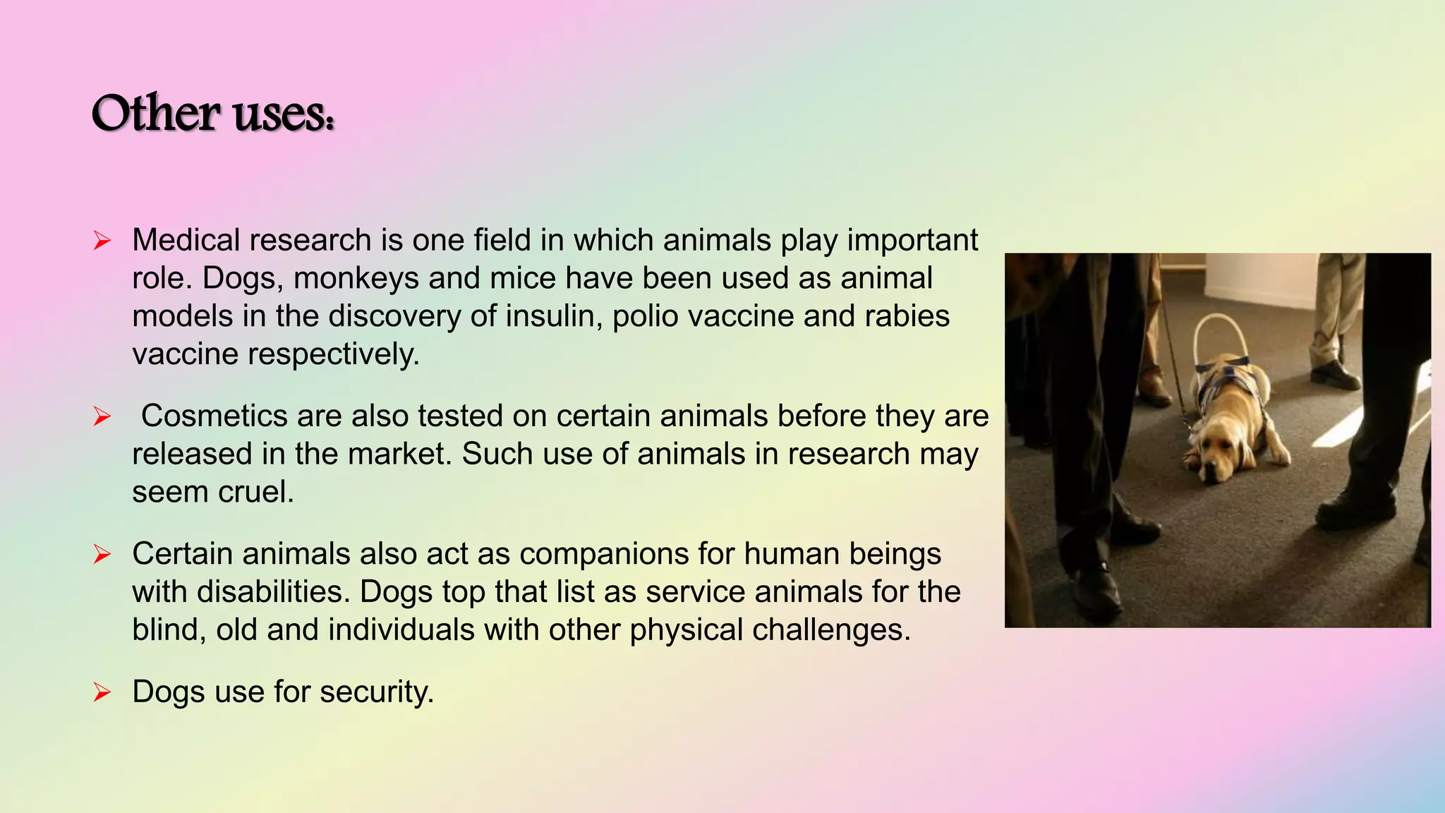 Importance of animals | PPTX