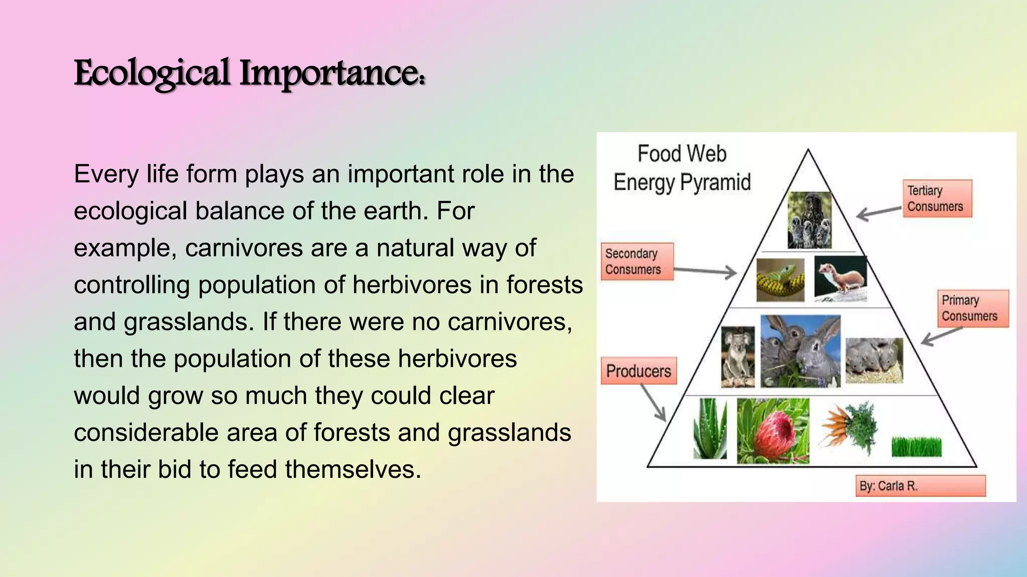 Importance of animals | PPTX