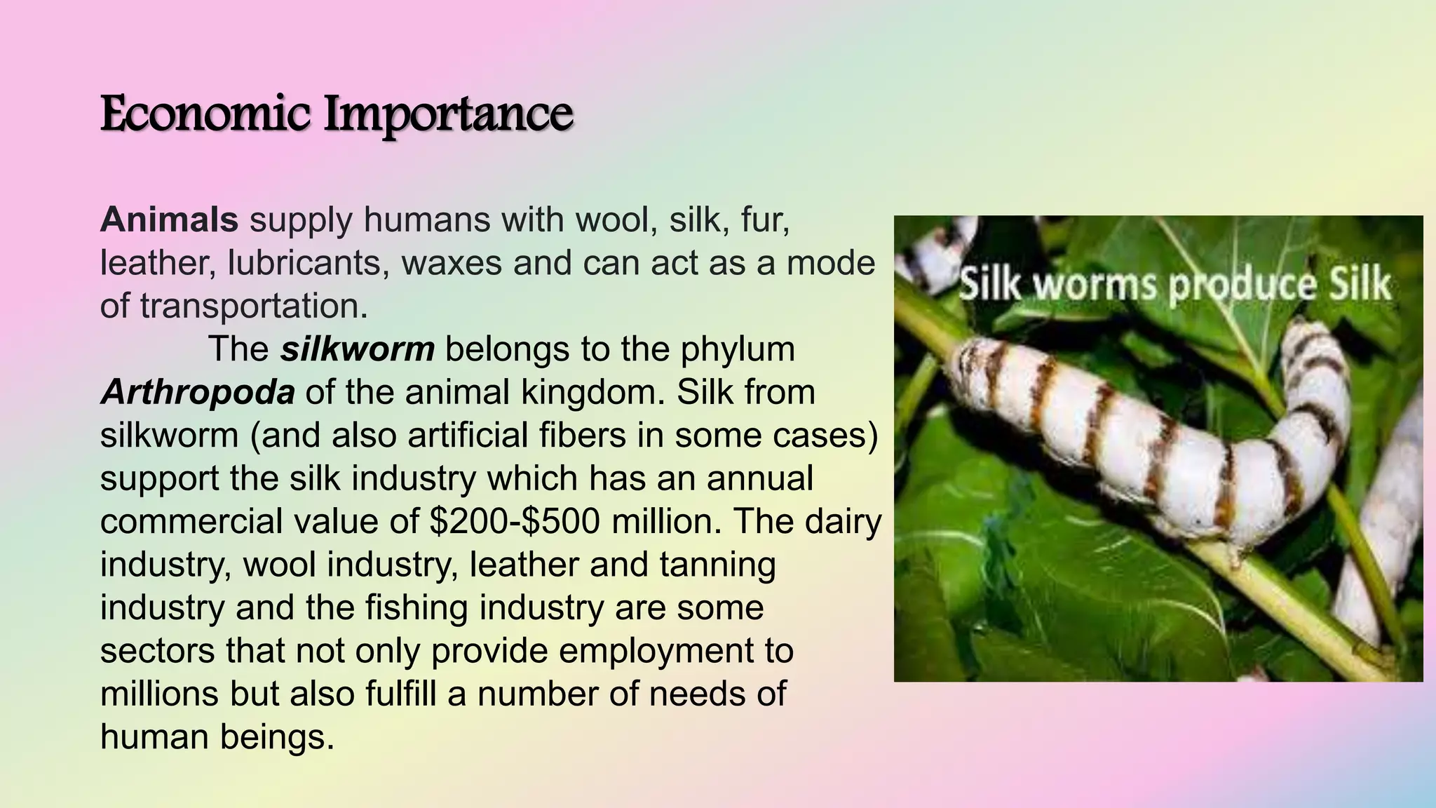 Importance of animals | PPTX