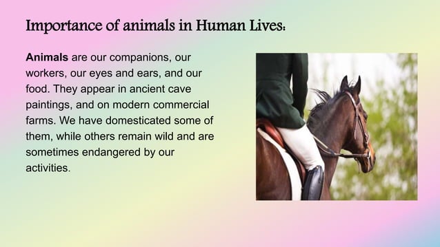 Importance of animals | PPTX | Beekeeping | Hobbies & Interests
