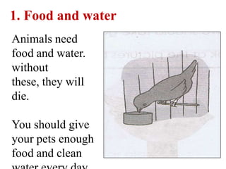 Importance Of Animals | PPTX