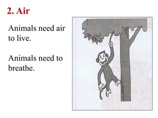 Importance Of Animals | PPTX