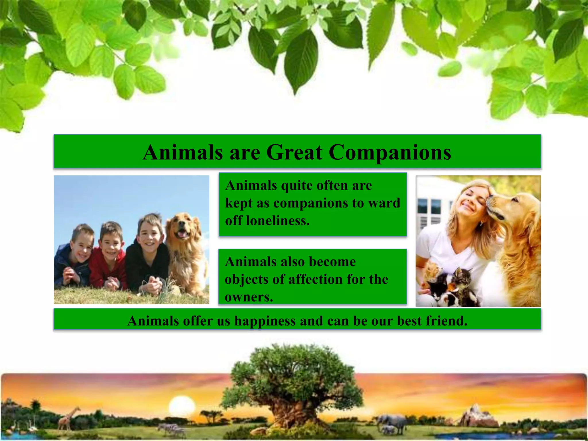 Importance of Animals in Human Life | PPTX
