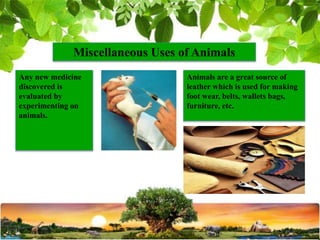 Importance of Animals in Human Life | PPTX