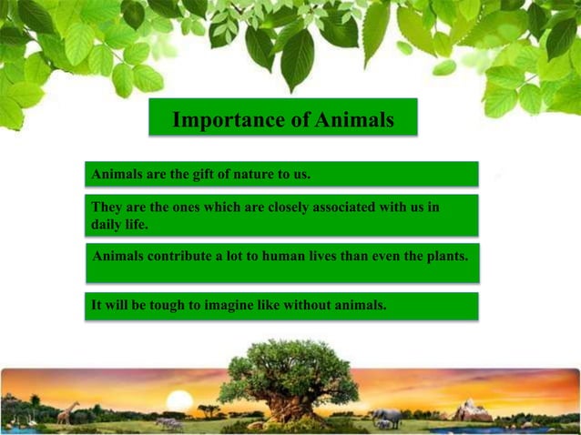 Importance of Animals in Human Life | PPTX