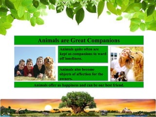 Importance of Animals in Human Life | PPTX