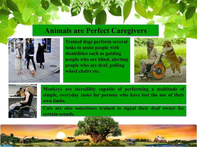 Importance of Animals in Human Life | PPTX