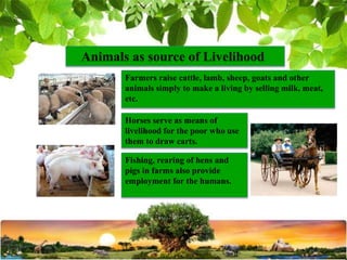 Importance of Animals in Human Life | PPTX