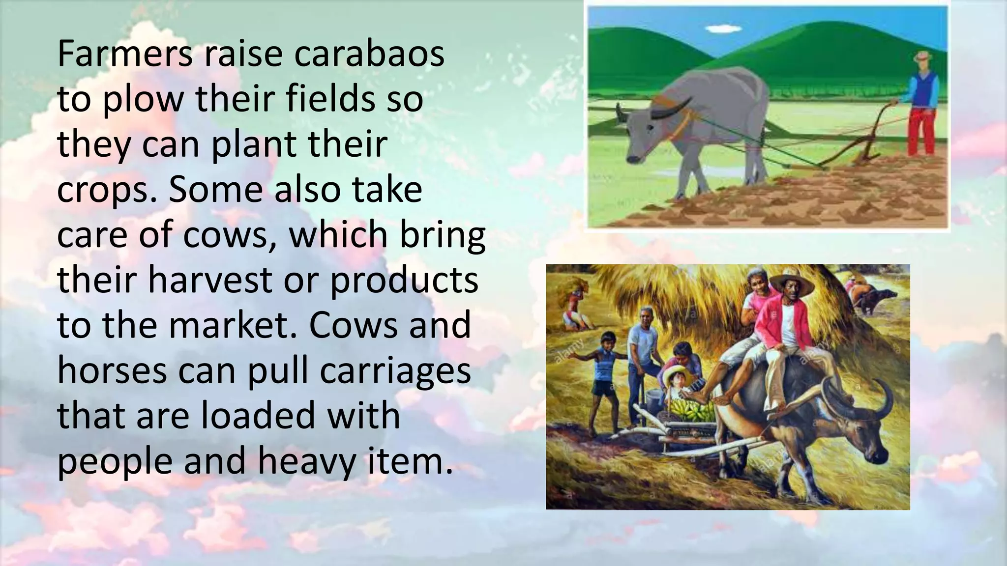 Importance of Animals to Human | PPTX