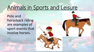 Importance of Animals to Human | PPTX