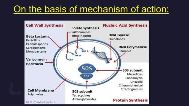 Importance of antibiotics and antiseptics , its types and application ...