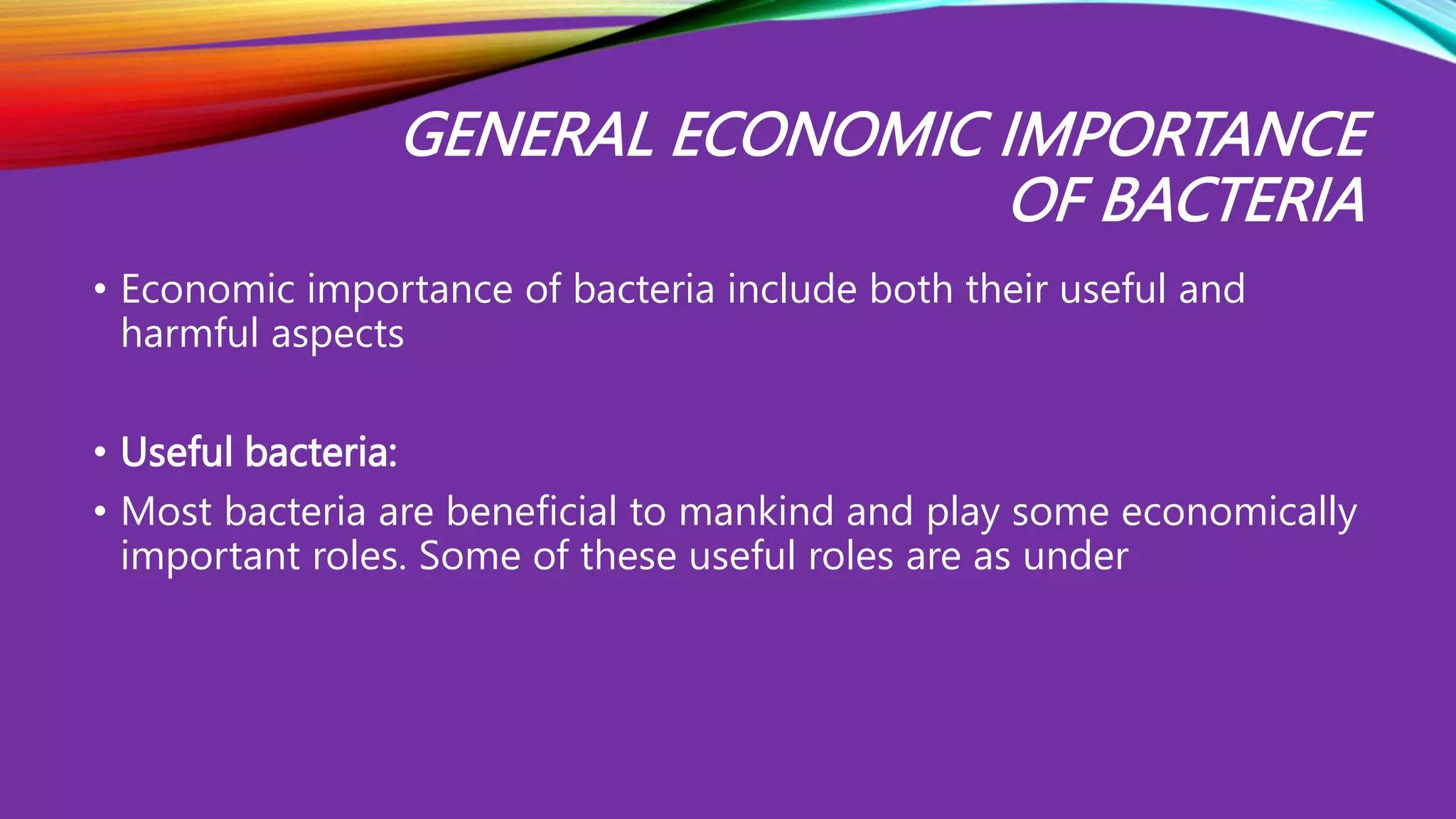 importance of bacteria 🦠.pptx