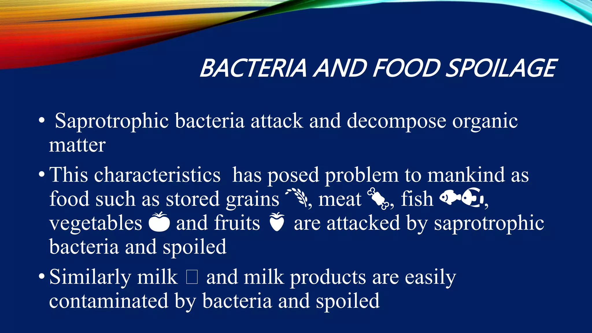 importance of bacteria 🦠.pptx