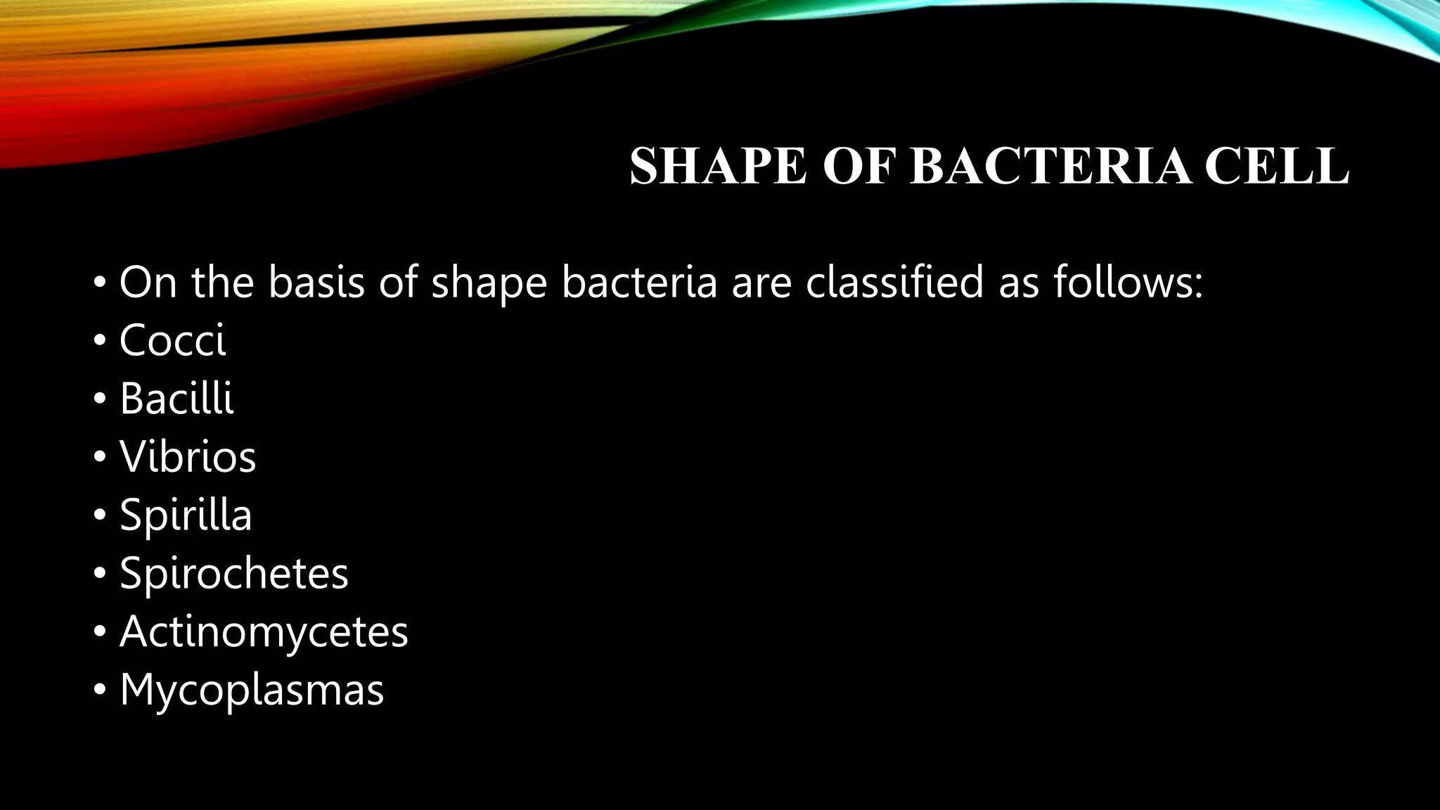 importance of bacteria 🦠.pptx