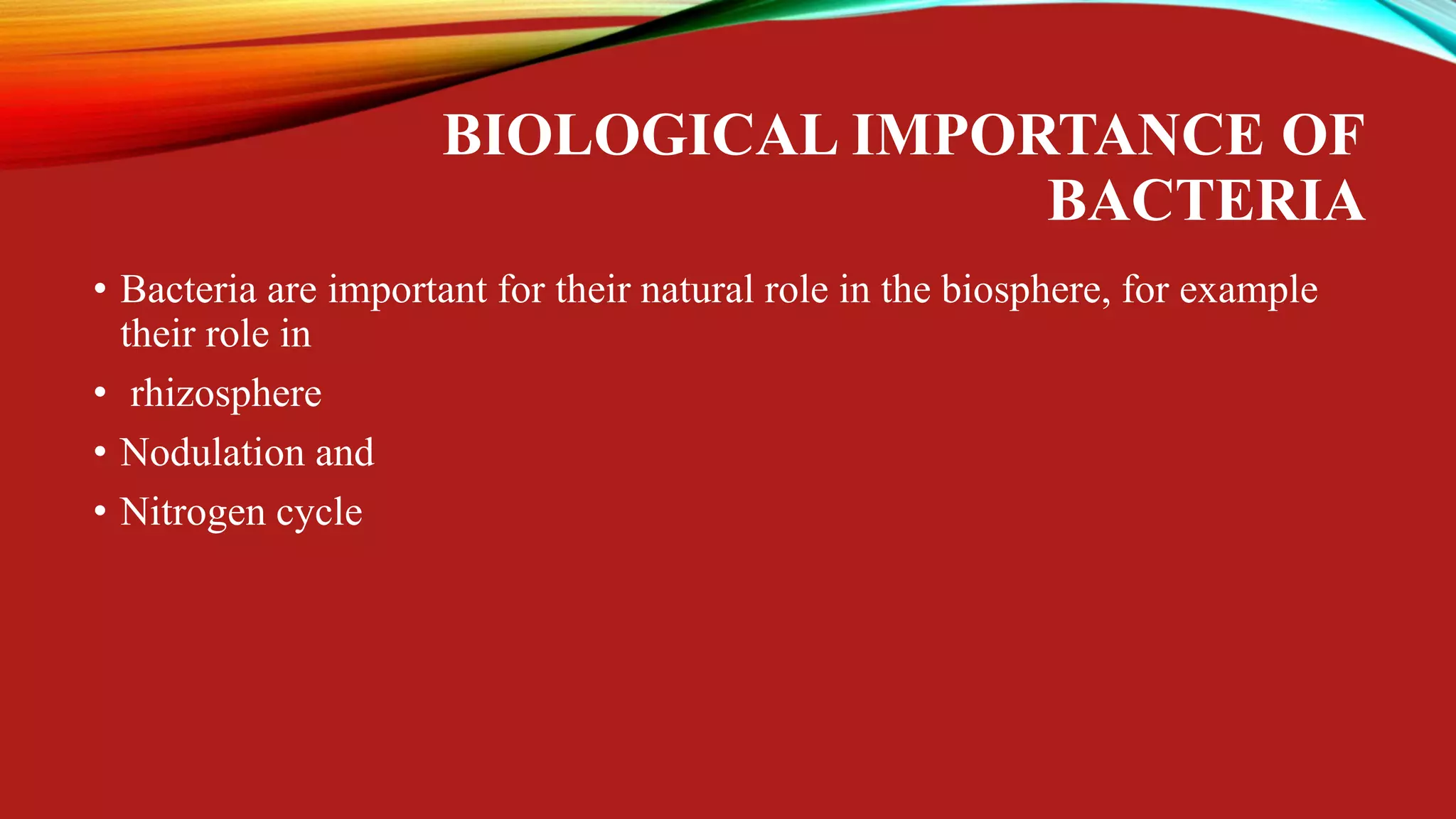 importance of bacteria 🦠.pptx