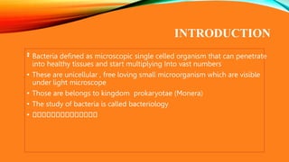 importance of bacteria 🦠.pptx