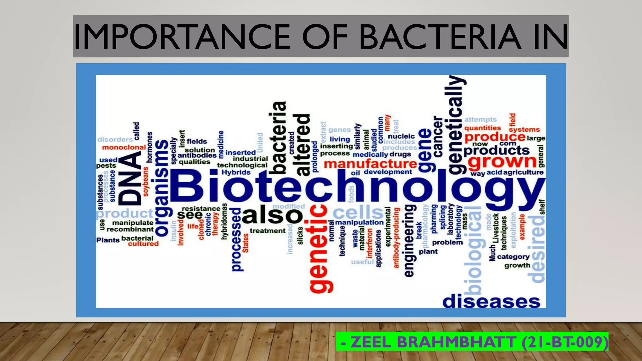 Importance of bacteria in biotechnology | PDF