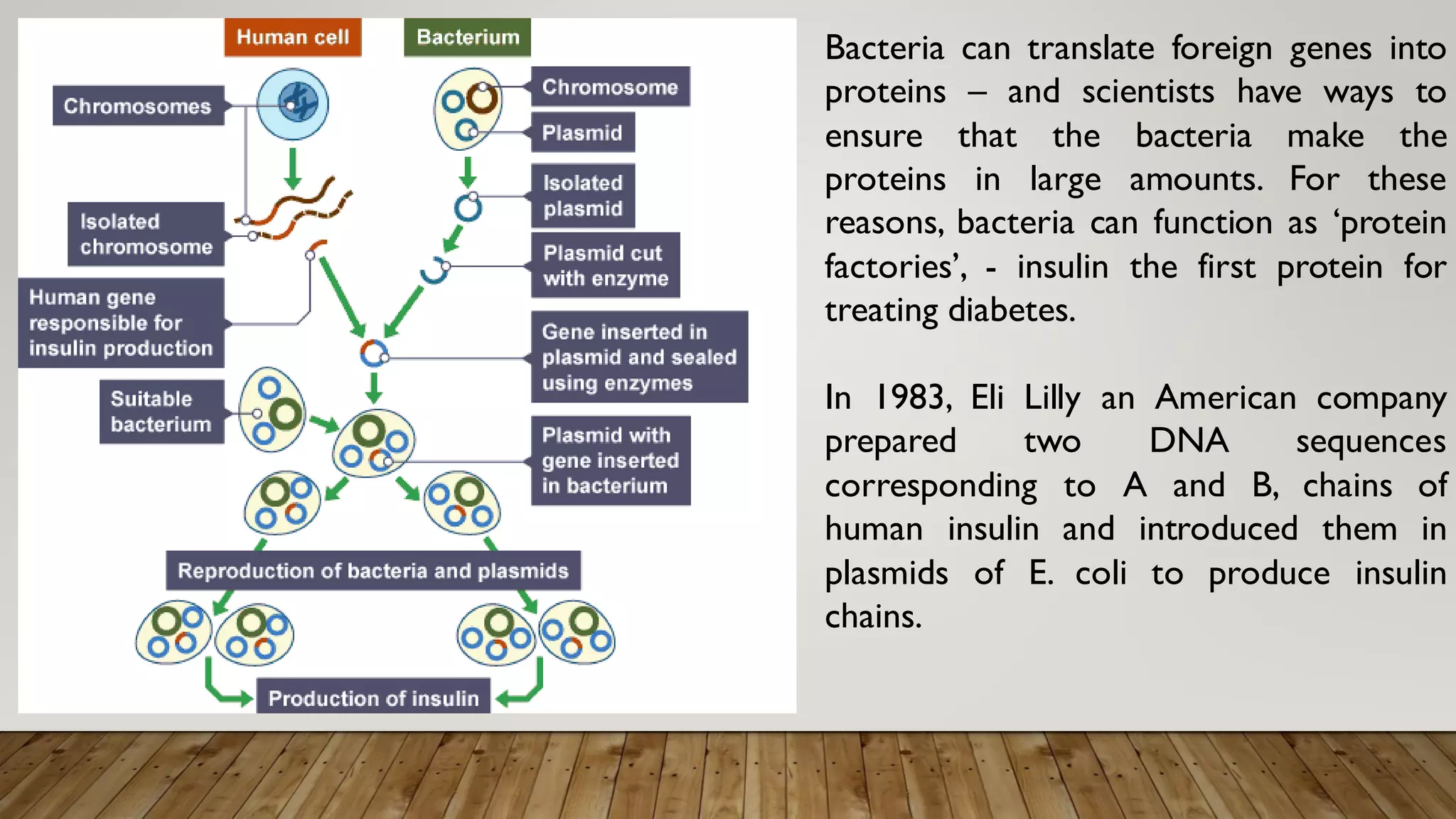 Importance of bacteria in biotechnology | PDF