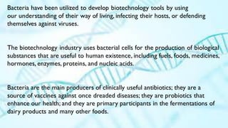 Importance of bacteria in biotechnology | PDF