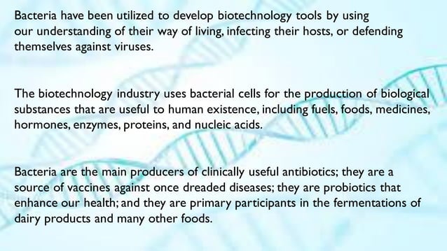Importance of bacteria in biotechnology | PDF | Biotech and Biomedical ...