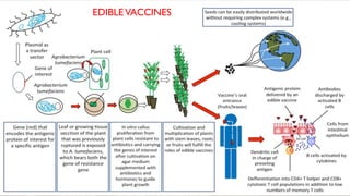 Importance of bacteria in biotechnology | PDF