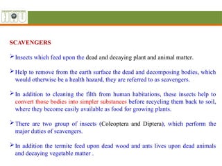 IMPORTANCE OF BENEFICIAL INSECTS.pptxbbb | PPTX