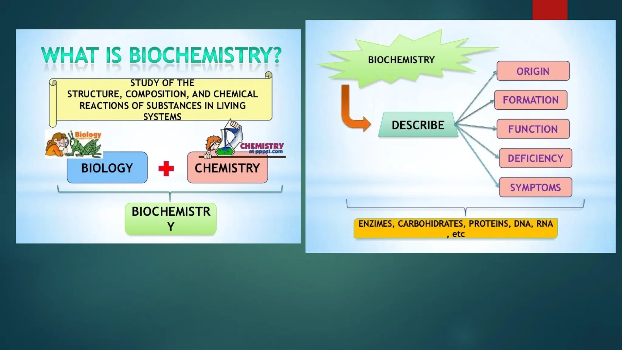 Importance of biochemistry (1) -ICON.pptx