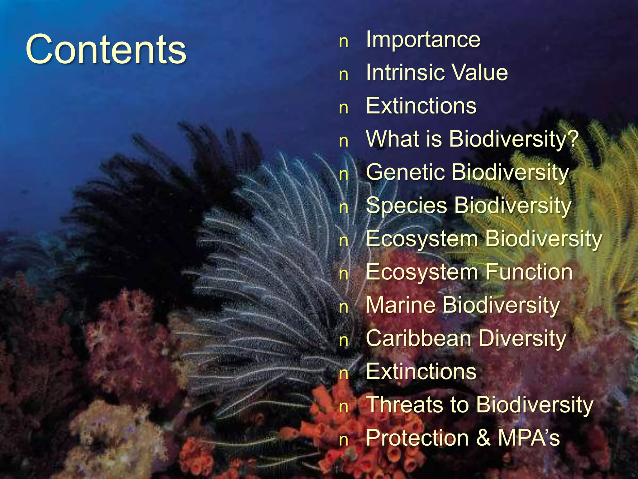 Importance of biodiversity | PPTX