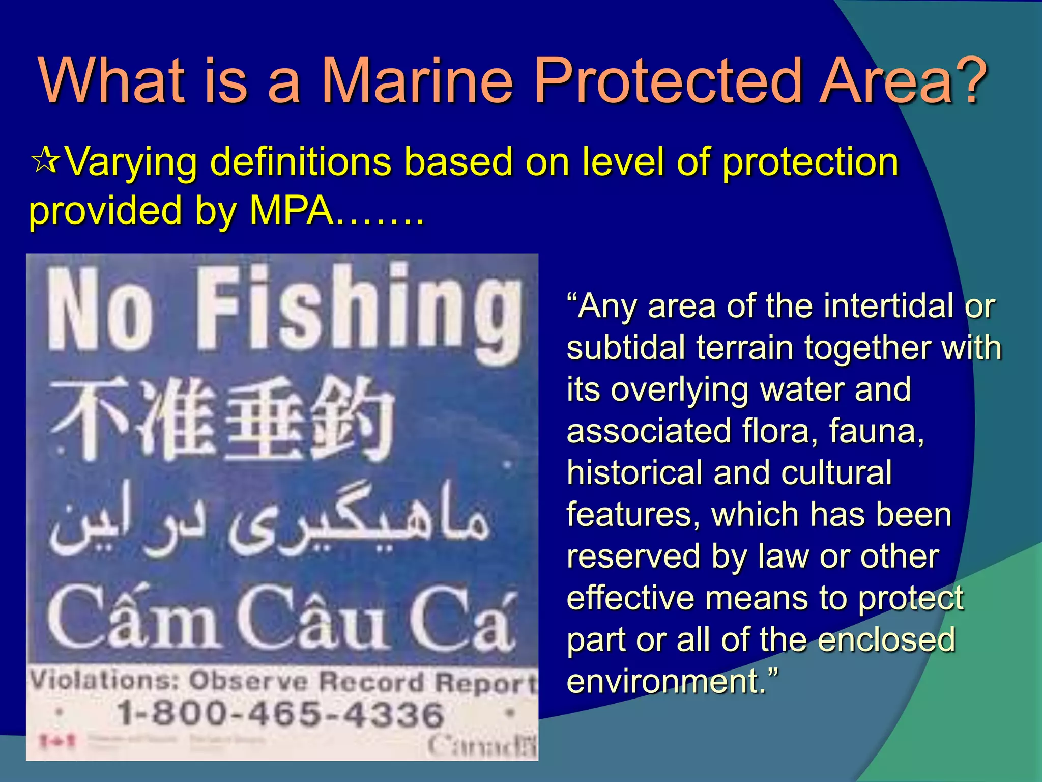 Importance of biodiversity | PPTX