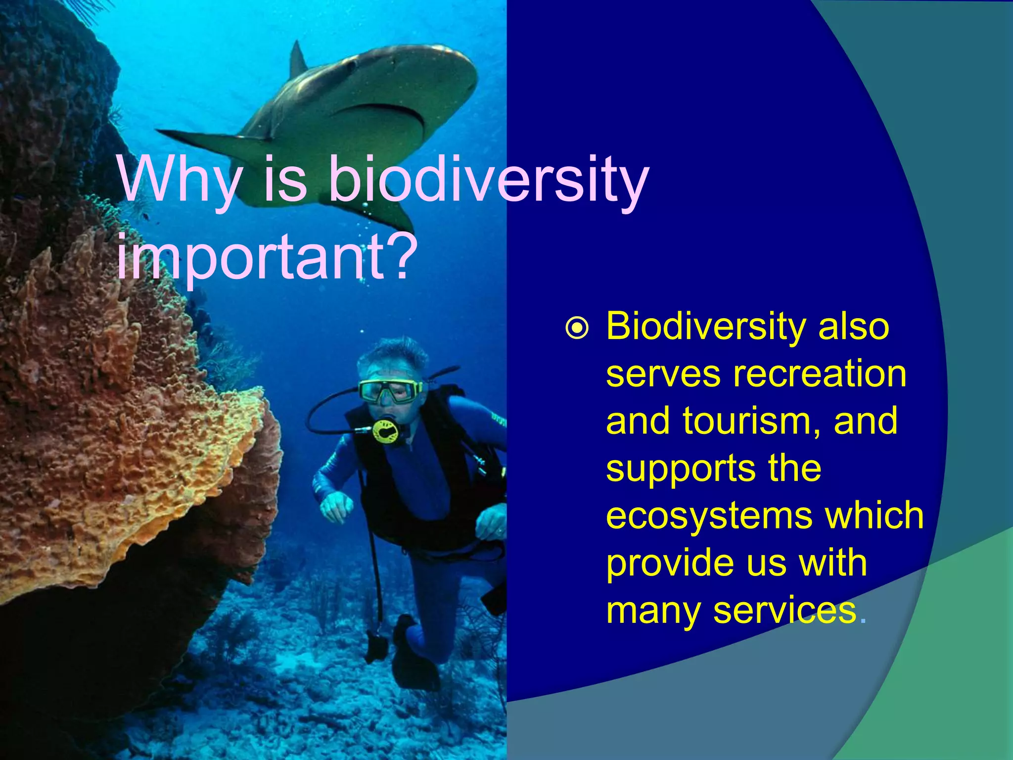 Importance of biodiversity | PPTX