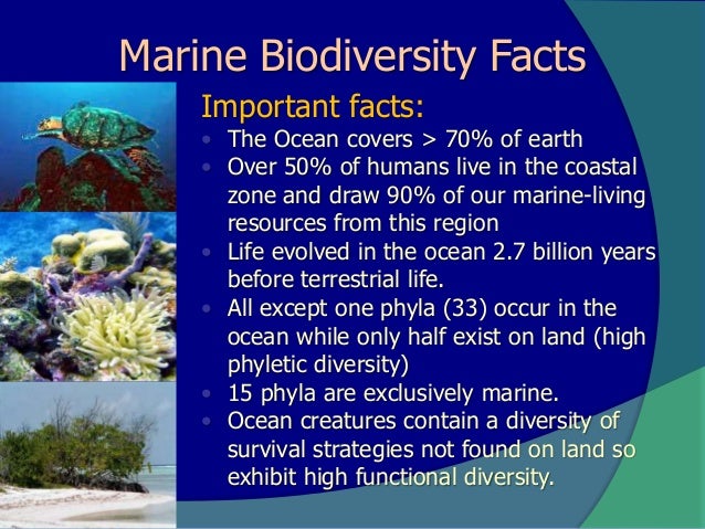 Importance of biodiversity