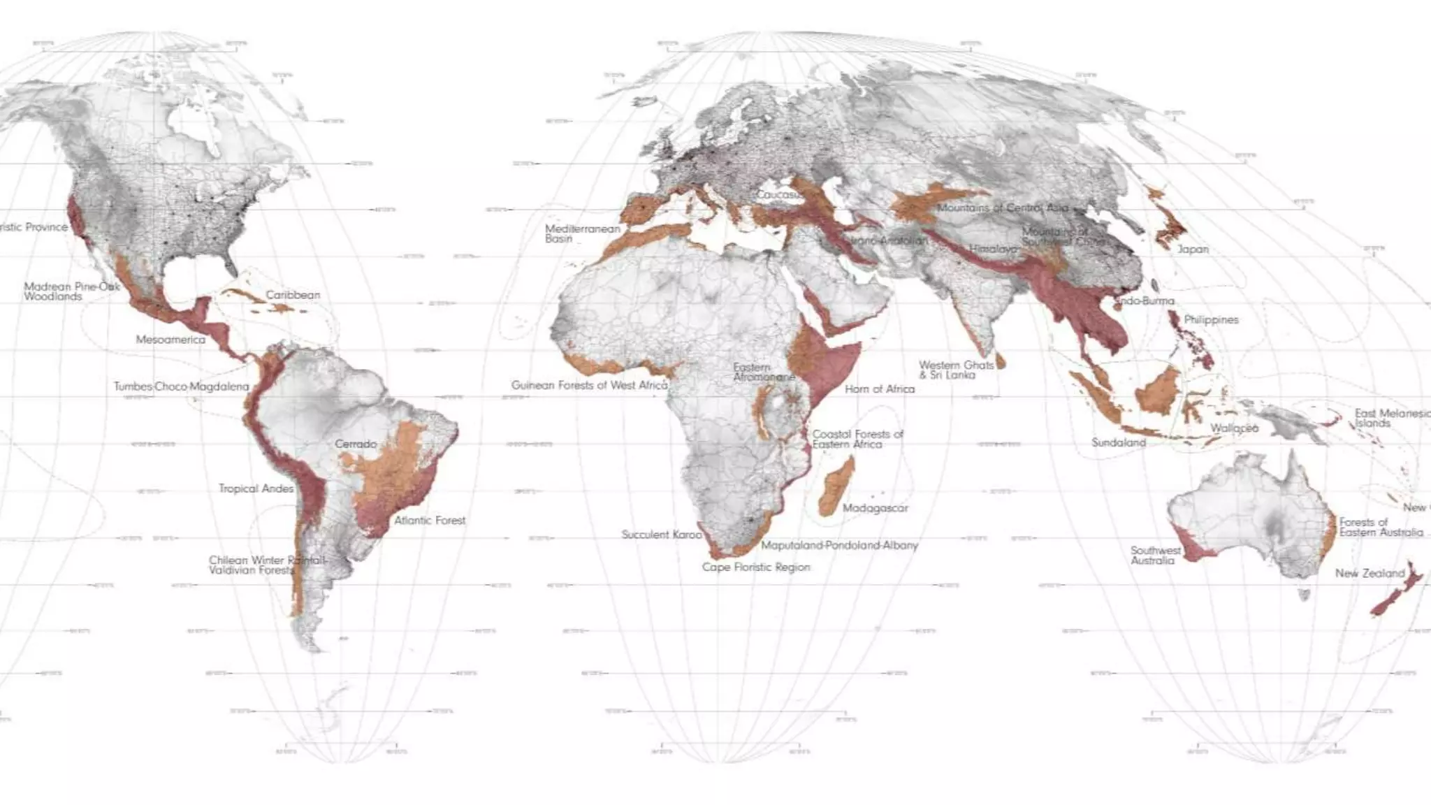 Importance of biodiversity hotspot | PPTX