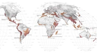 Importance of biodiversity hotspot | PPT