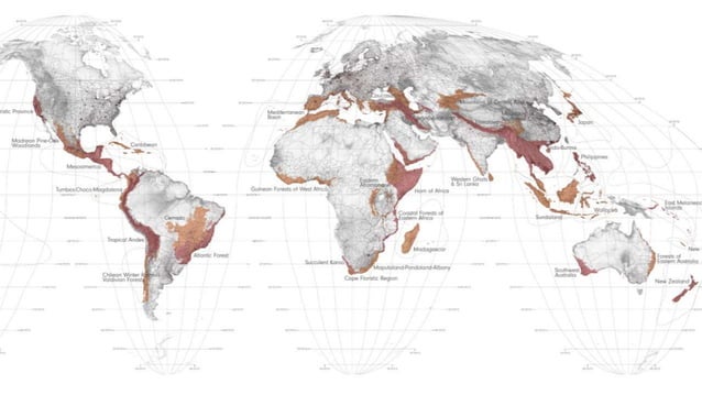 Importance of biodiversity hotspot | PPT