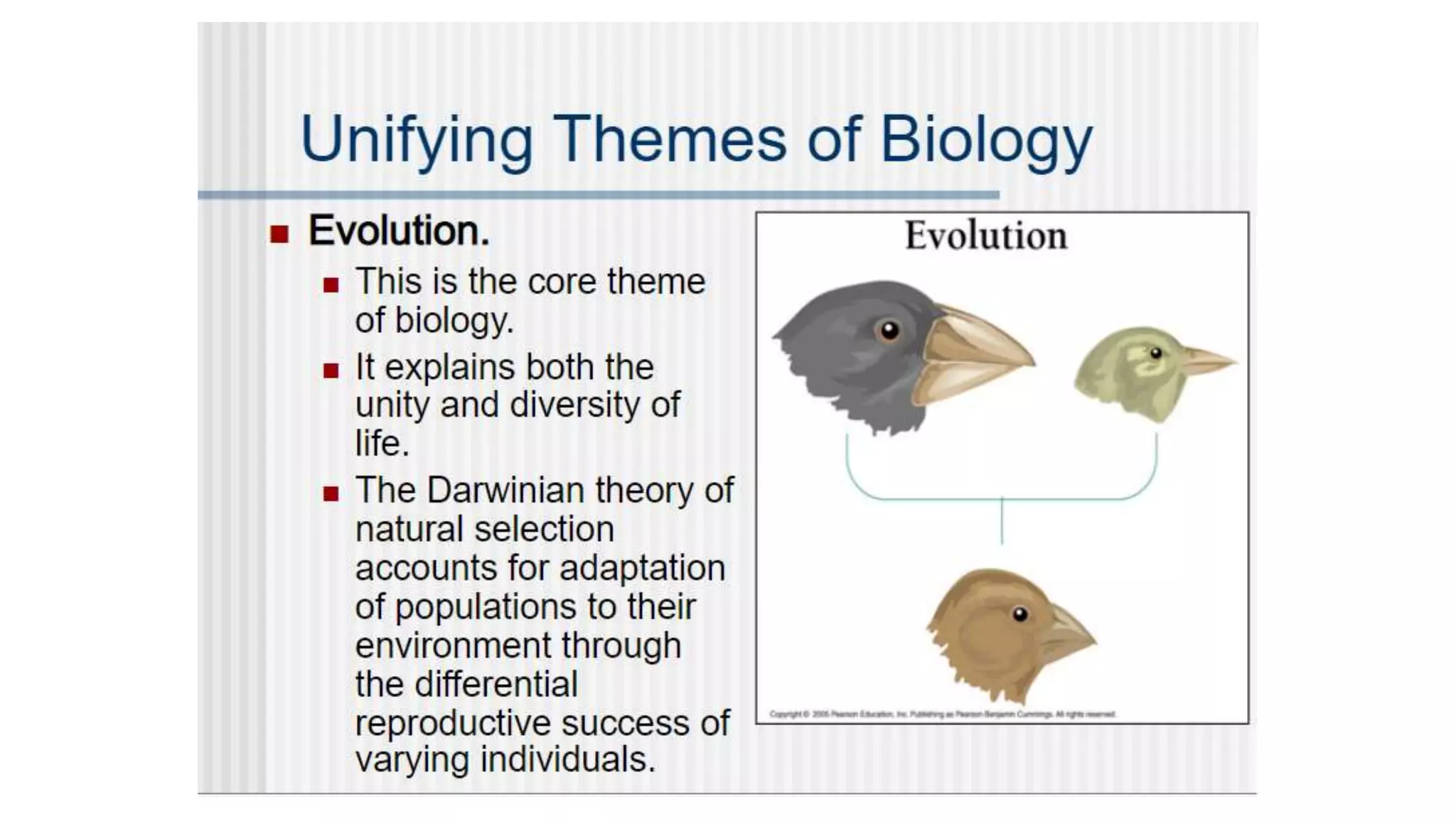 IMPORTANCE OF BIOLOGY.pptx