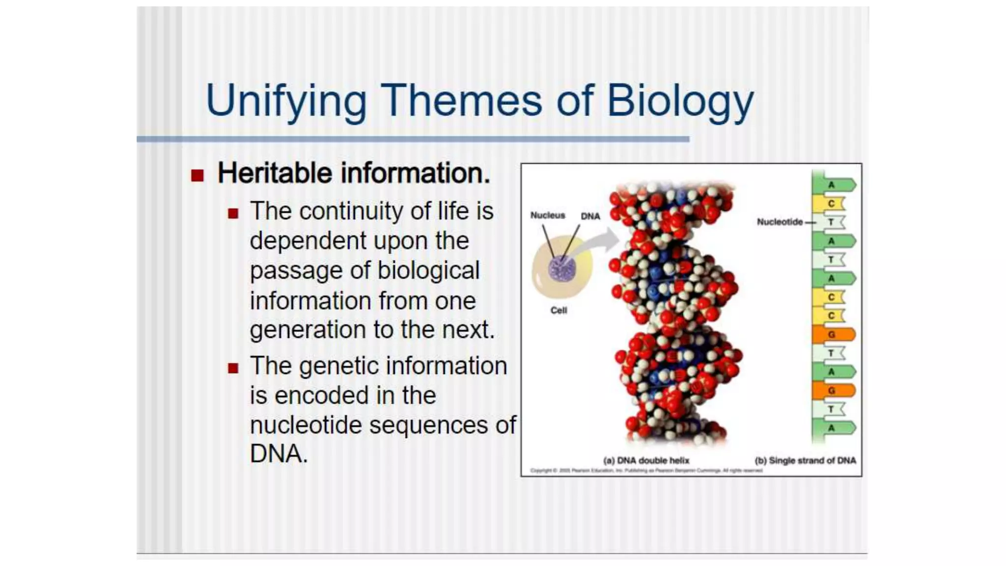 IMPORTANCE OF BIOLOGY.pptx