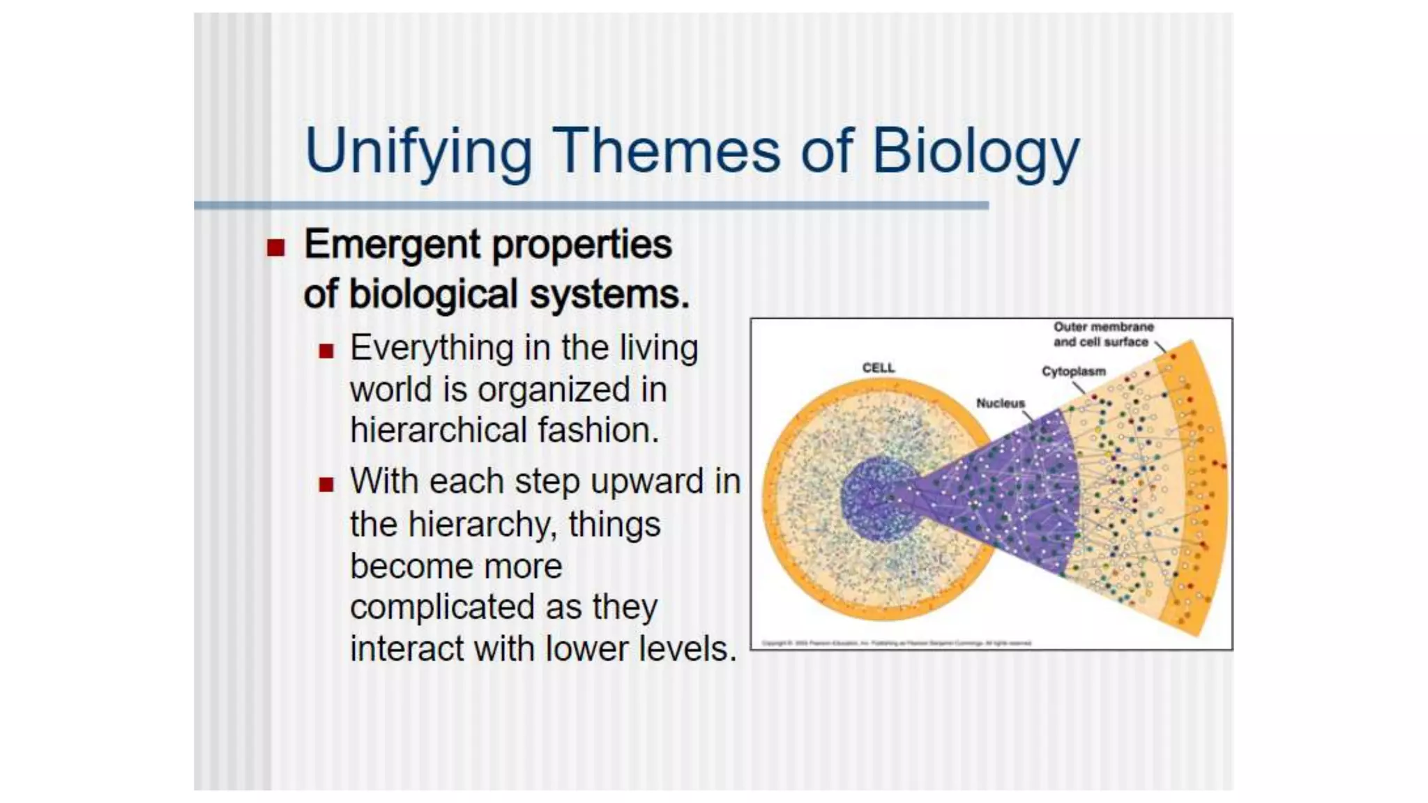 IMPORTANCE OF BIOLOGY.pptx