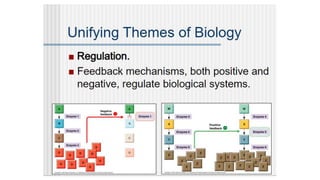 IMPORTANCE OF BIOLOGY.pptx