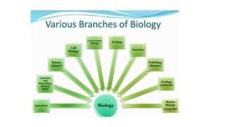 IMPORTANCE OF BIOLOGY.pptx