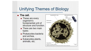 IMPORTANCE OF BIOLOGY.pptx