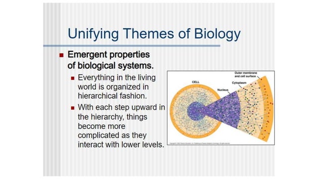 IMPORTANCE OF BIOLOGY.pptx