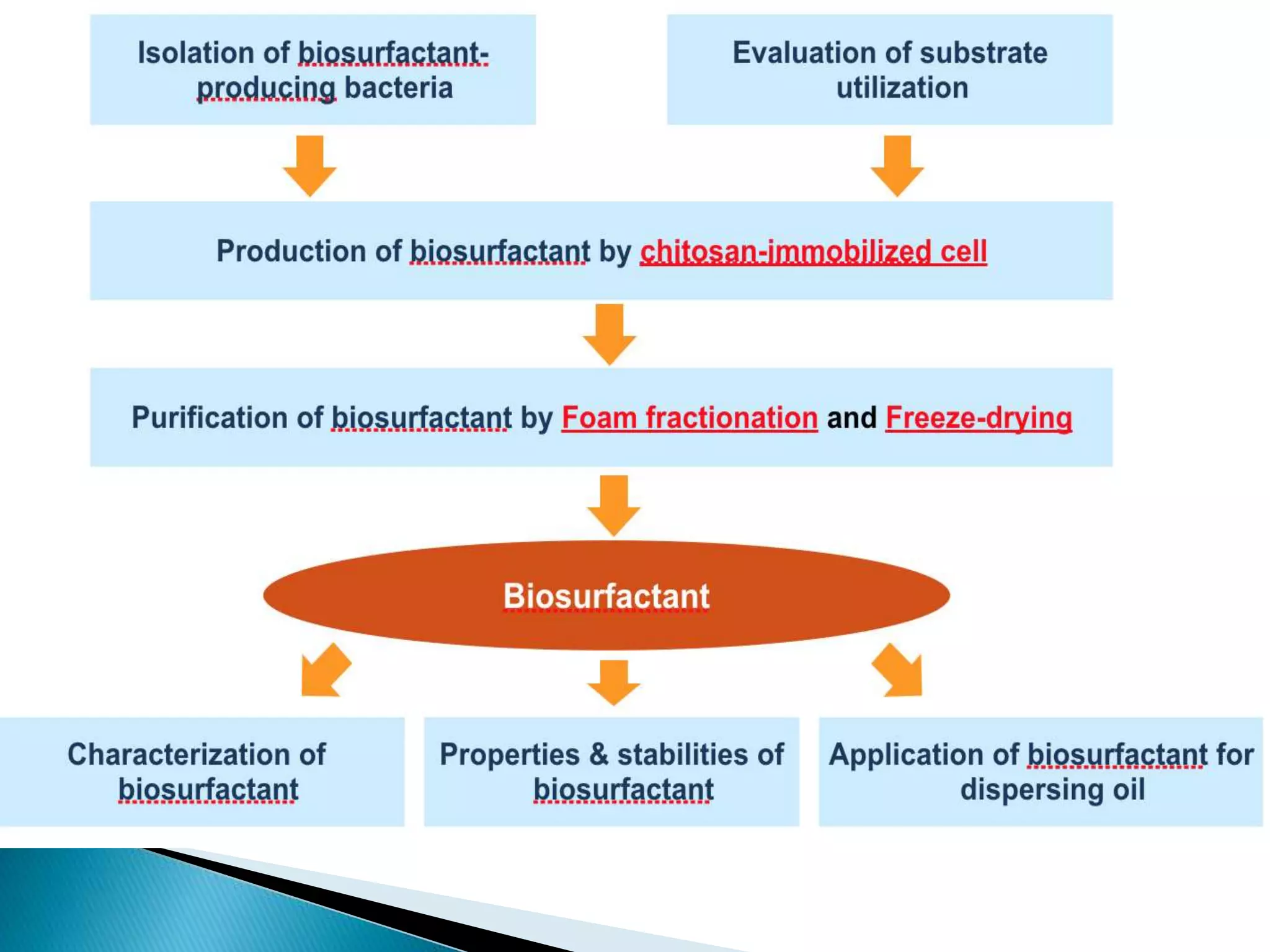 Importance of biosurfactant production in removal of oil | PPTX